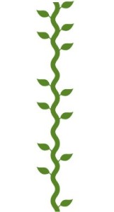 Time Line for Life of Moses | Bibleview