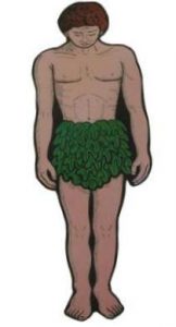 Genesis – part one » | Bibleview